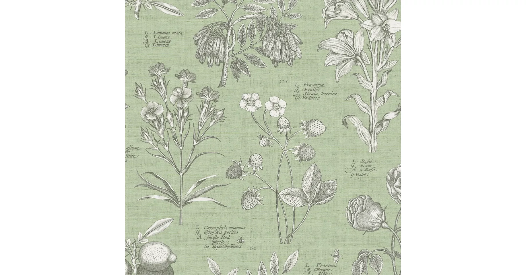 Wallpaper – RHS Bloom