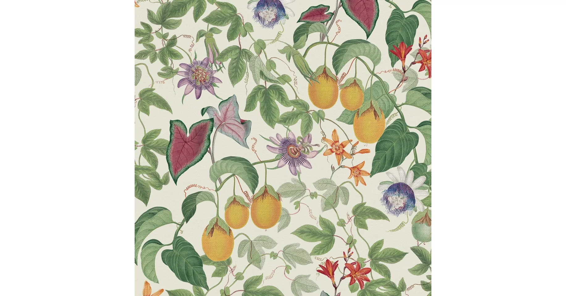 Wallpaper – RHS Bloom